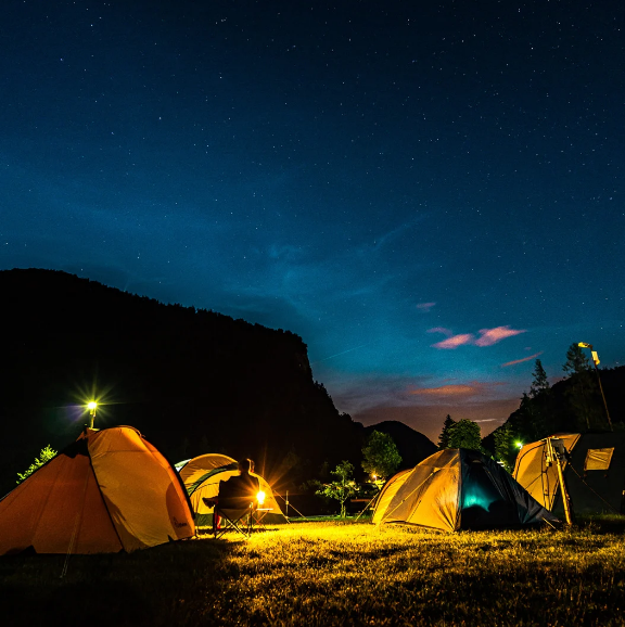 Johnny's Bargain World