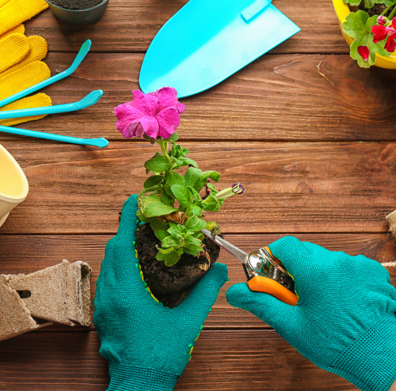 Johnny's Bargain World